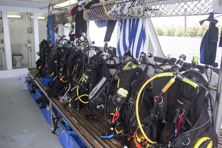 Dive Deck, Taka - Solomon Islands - Dive Shack